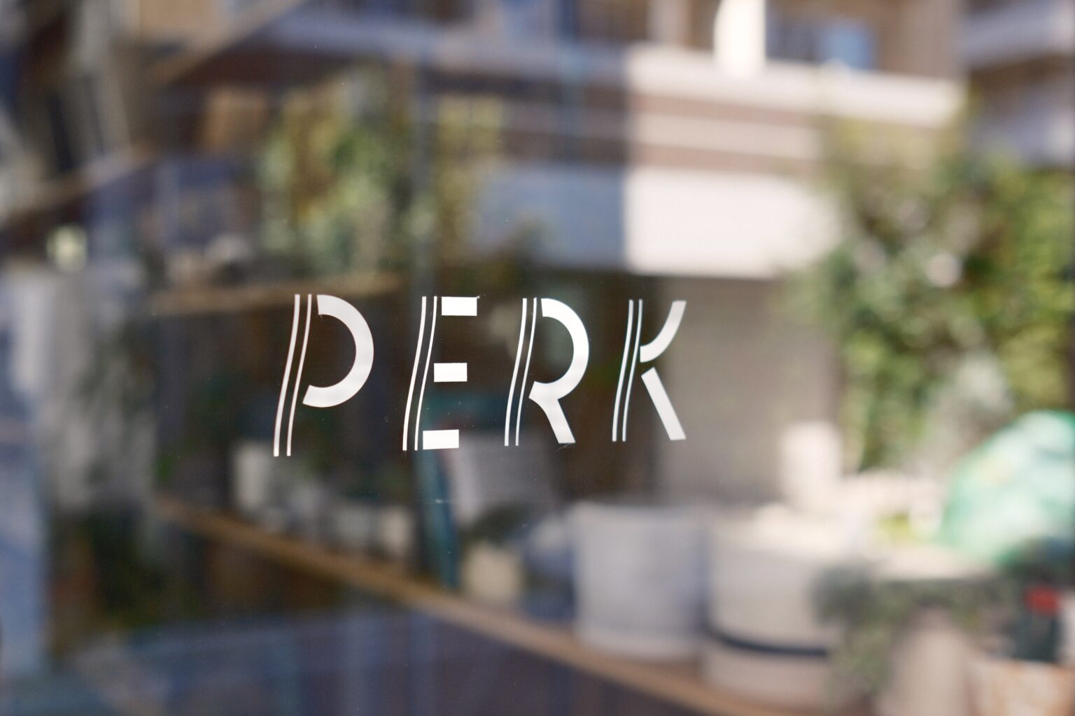 【かもめと街 個展特別企画】錦糸町さんぽ with PERK SHOP | かもめと街